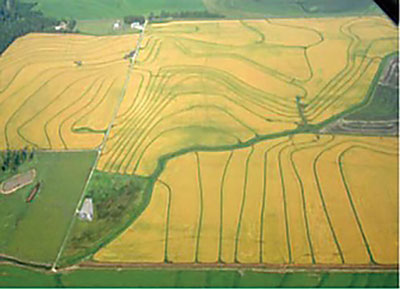 UAV imagery offers multiple irrigation applications - Irrigation Today